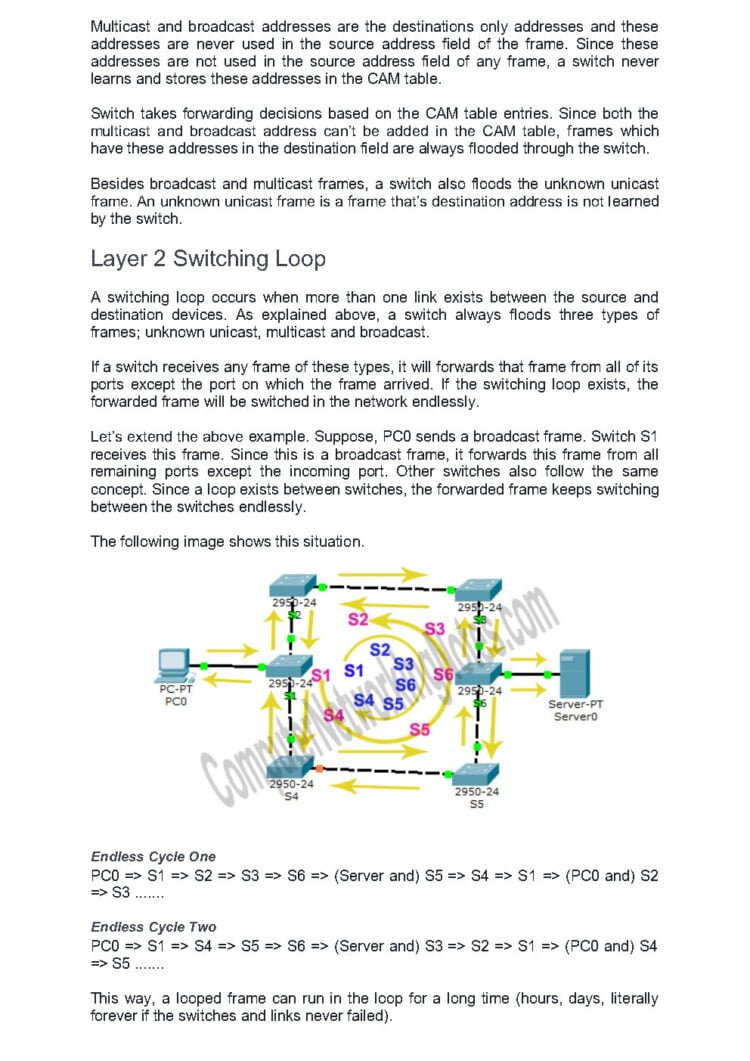 Layer 2 Switching Loops in Network Explained PDF