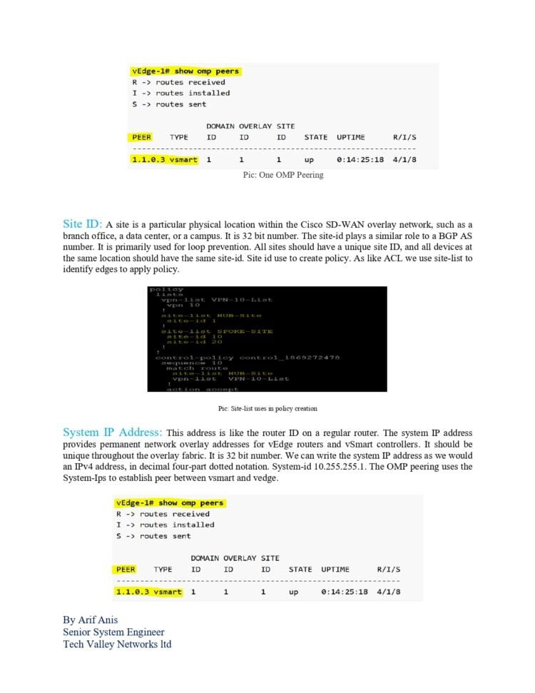 2- Cisco SD-WAN Terminology: A Comprehensive Guide